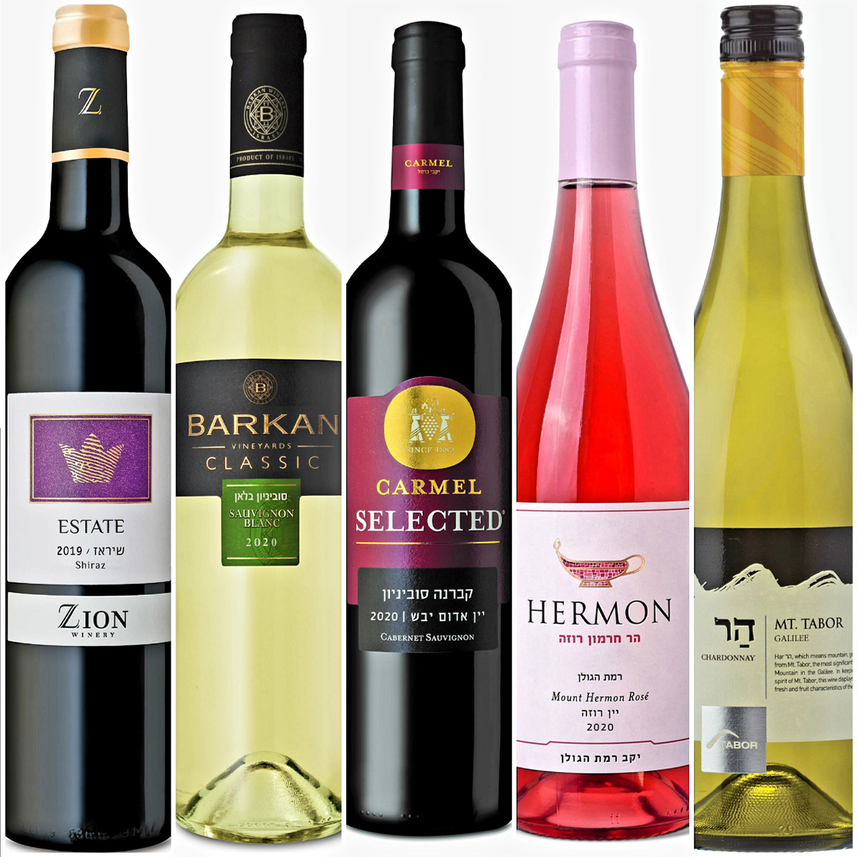 LE’HAIM – IT’S PURIM - Adam S. Montefiore