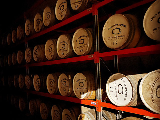 CELEBRATING IN THE GOLAN - Adam S. Montefiore